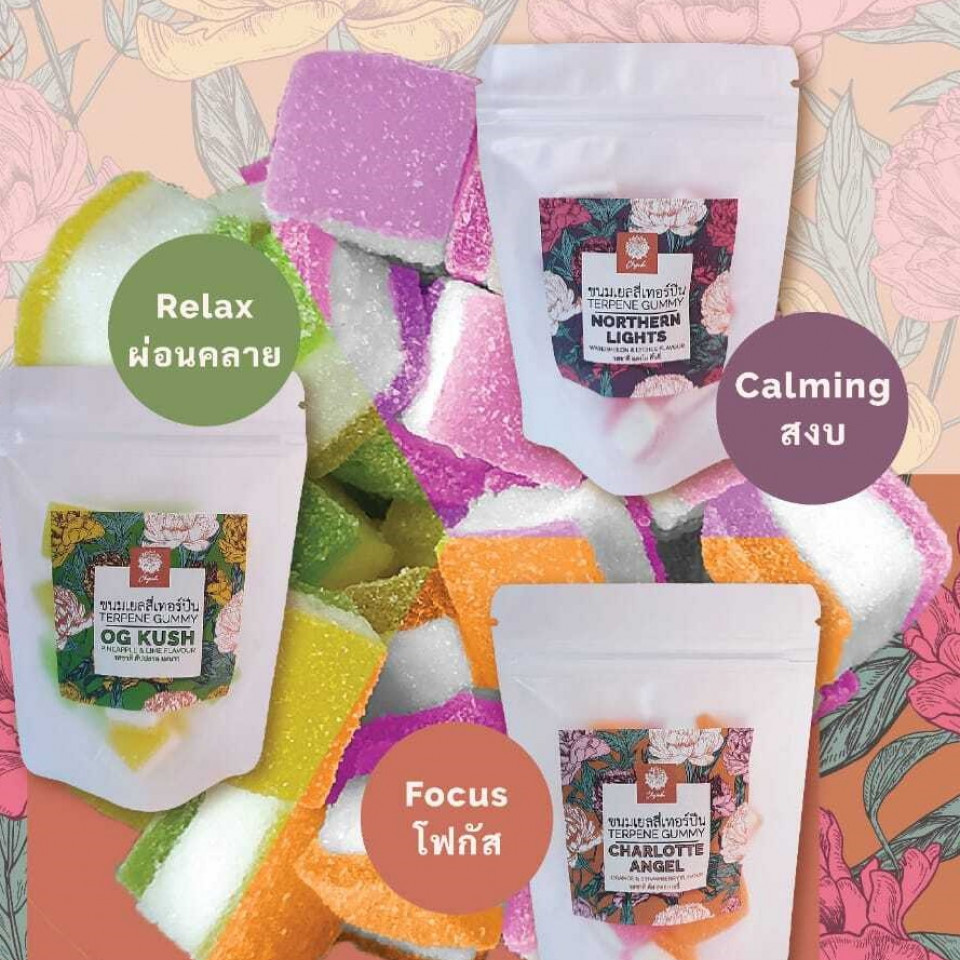 Terpene Gummy - 50g at BritiShop, Thailand